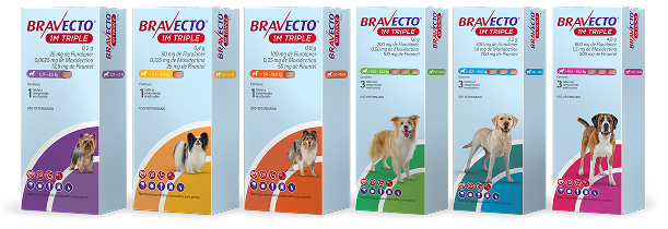 Bravecto® 1M TRIPLE - MX Bravecto