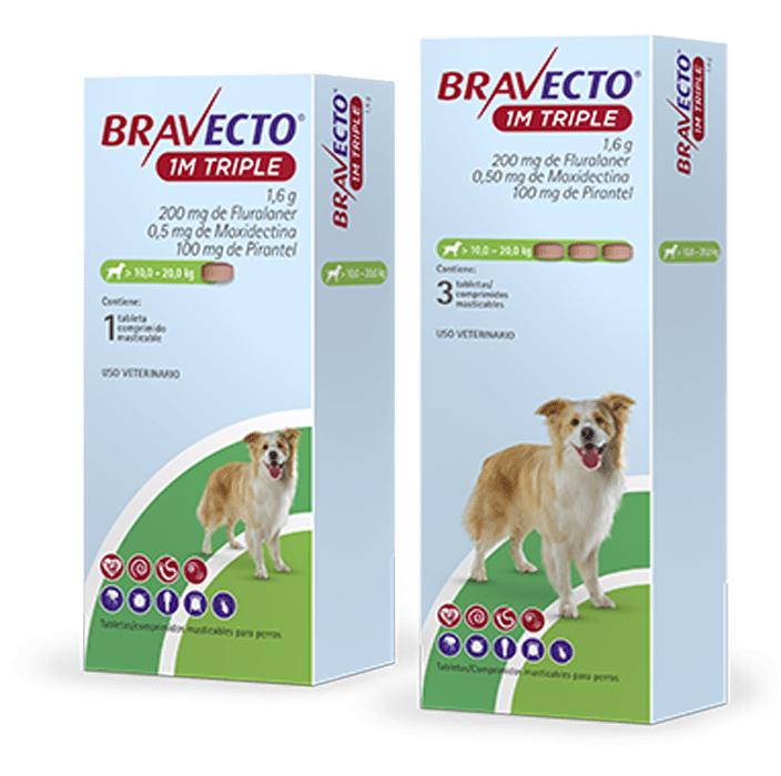 Bravecto® 1M TRIPLE - MX Bravecto